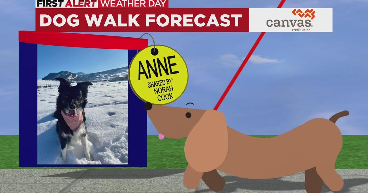 12.2.22 Dog Walk Forecast - CBS Colorado