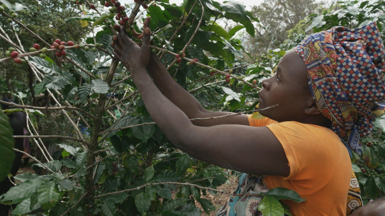 Gorongosa National Park news - Today’s latest updates - CBS News