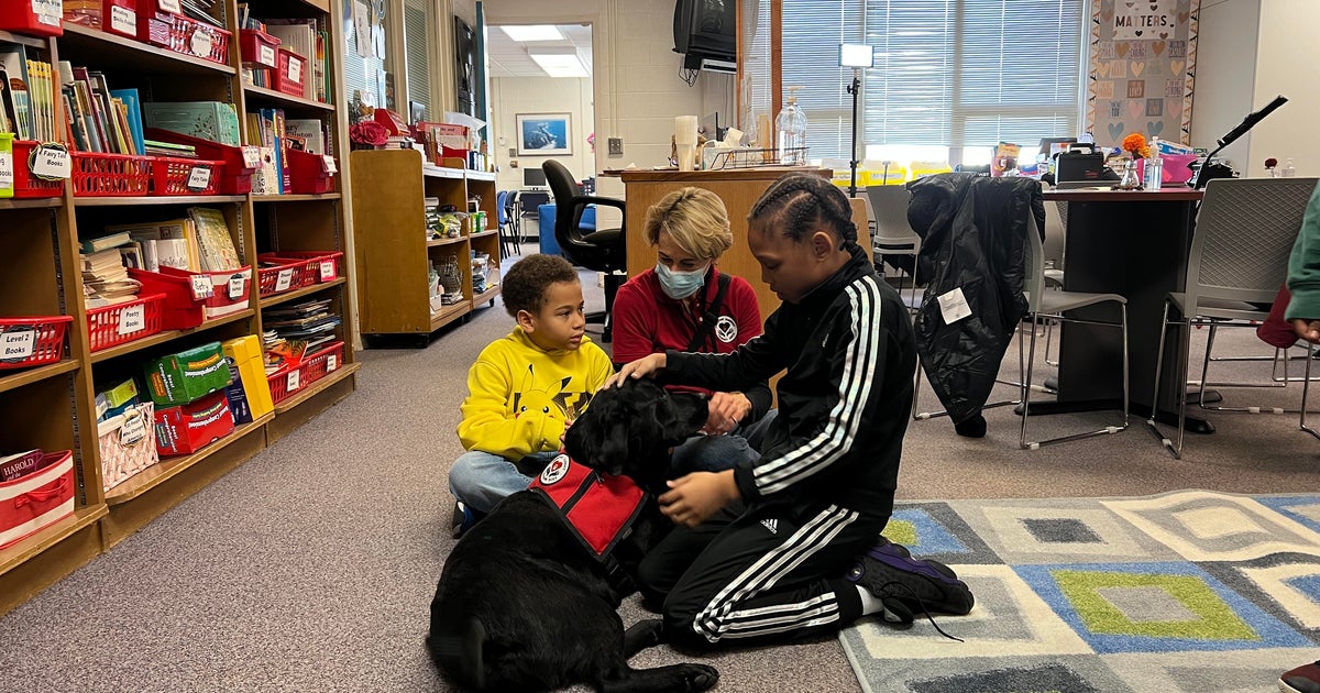 Southfield elementary school introduces pet therapy program for ...