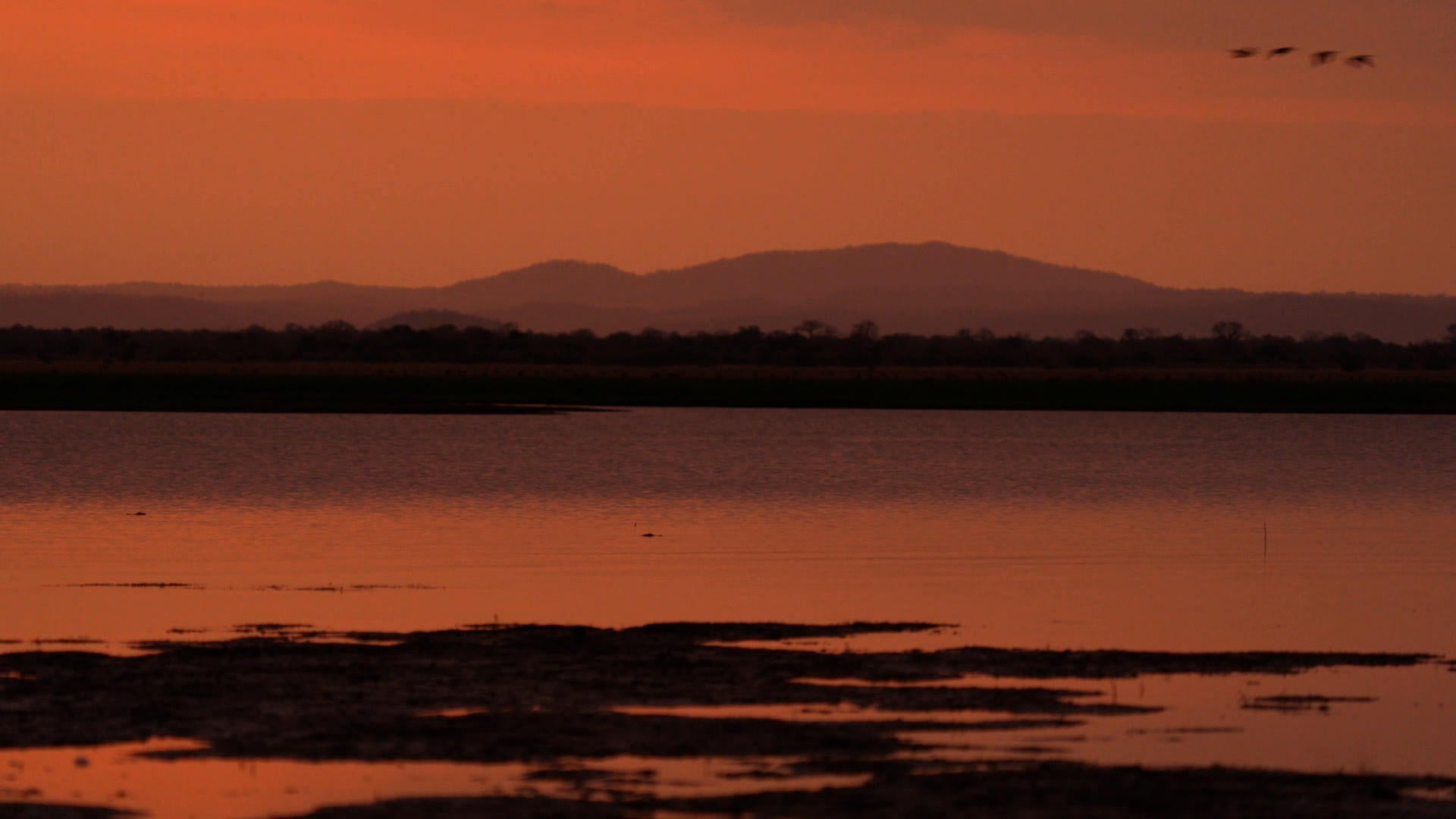 Watch 60 Minutes Overtime Season 55 Episode 12: Greg Carr's commitment ...