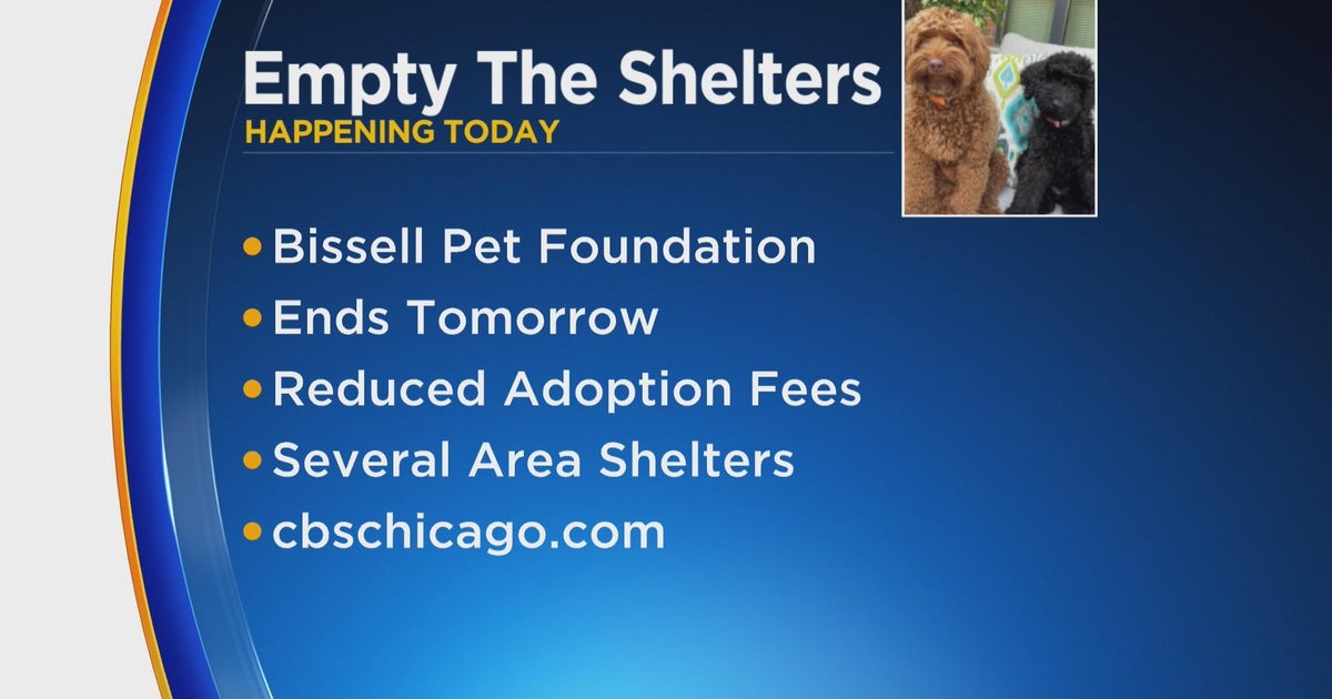 Chicago area shelters 'Empty the Shelters' event - CBS Chicago