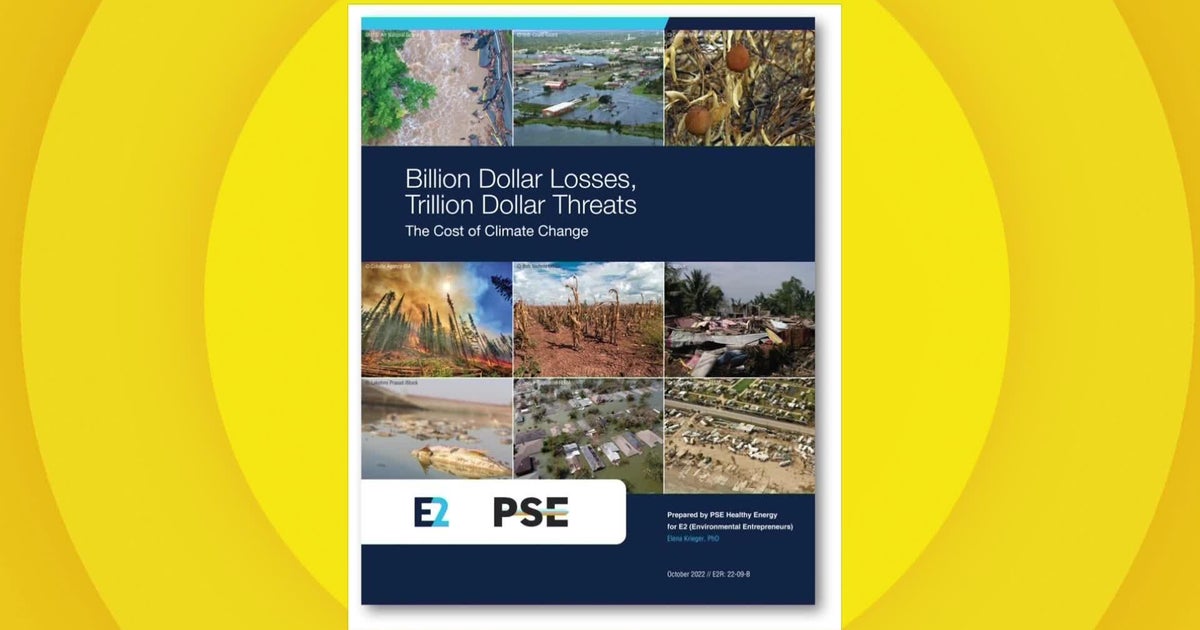 'Billion-Dollar Losses, Trillion-Dollar Threats: The Cost of Climate ...