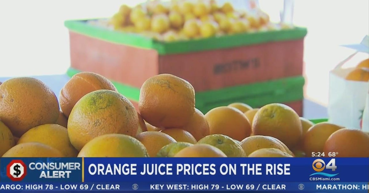 Florida orange crop at lowest level since before World War II - CBS Miami