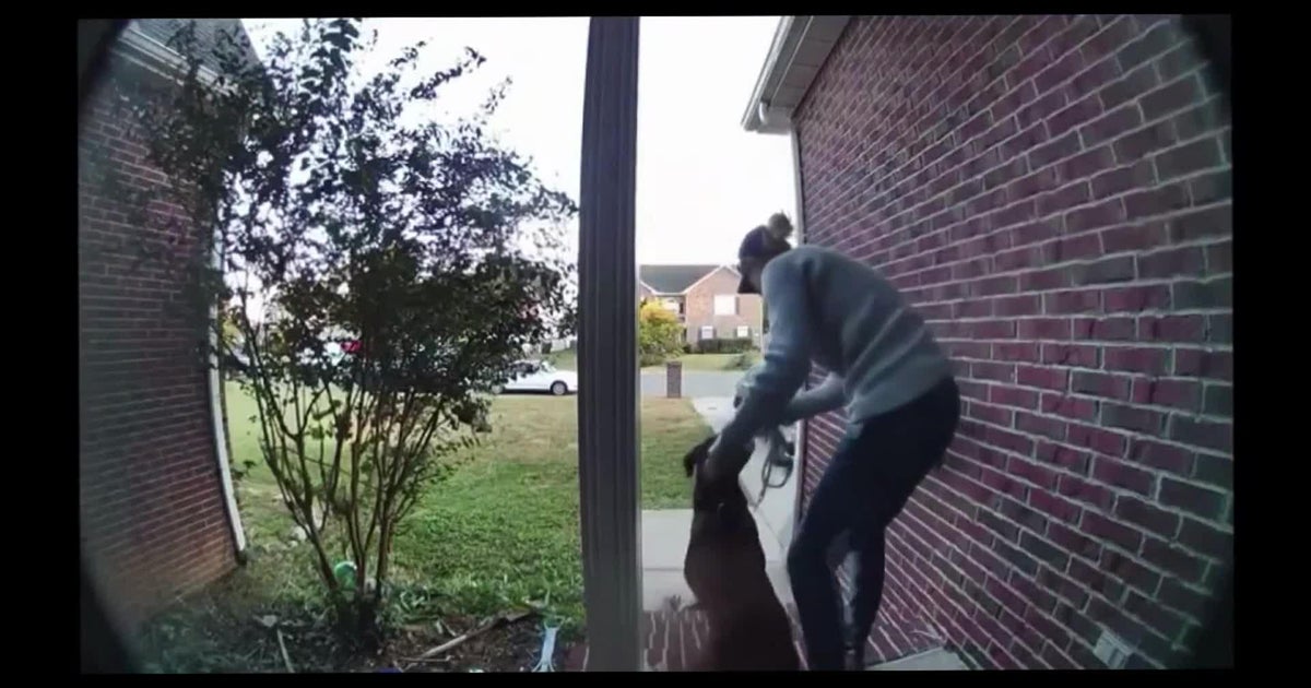 RAW: Ring video shows CHP Captain Julie Harding taking dog from ...