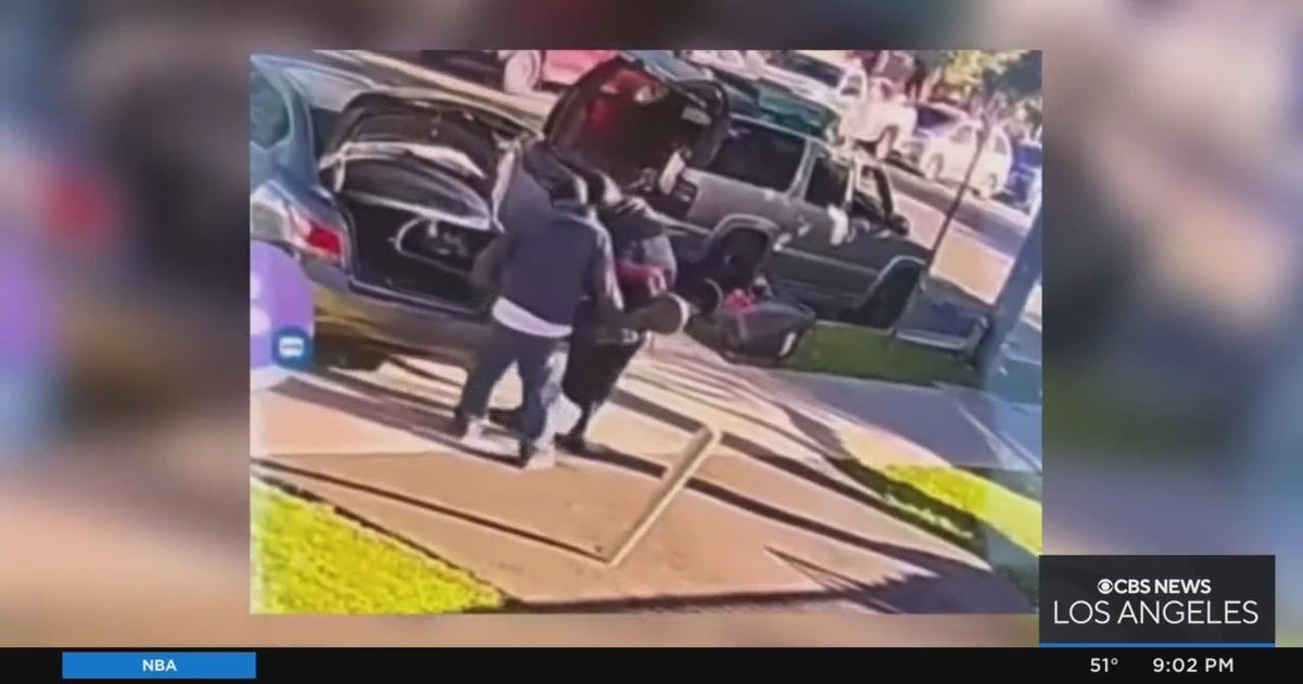 Camera captures pair of masked thieves stealing thousands of dollars ...