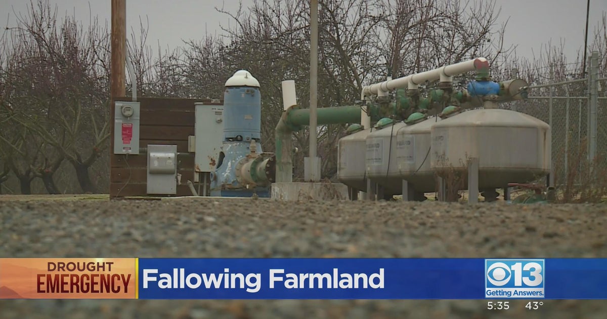 Farmers paid to fallow land to preserve water - CBS Sacramento