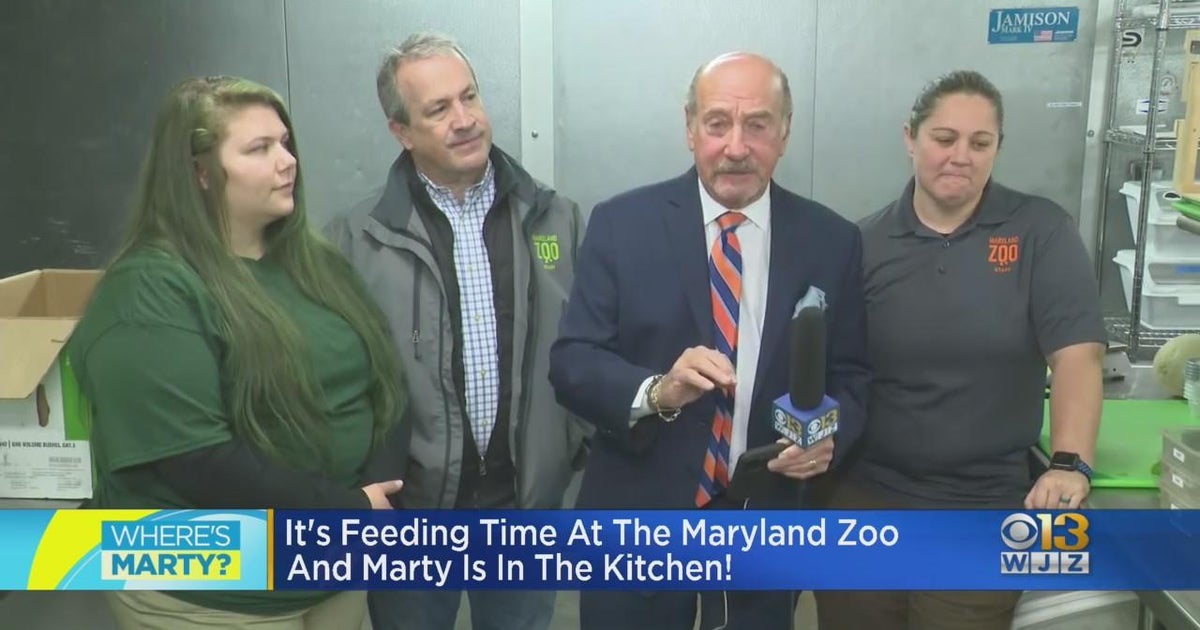 Where's Marty? At the Maryland Zoo Kitchen where food for animals is ...