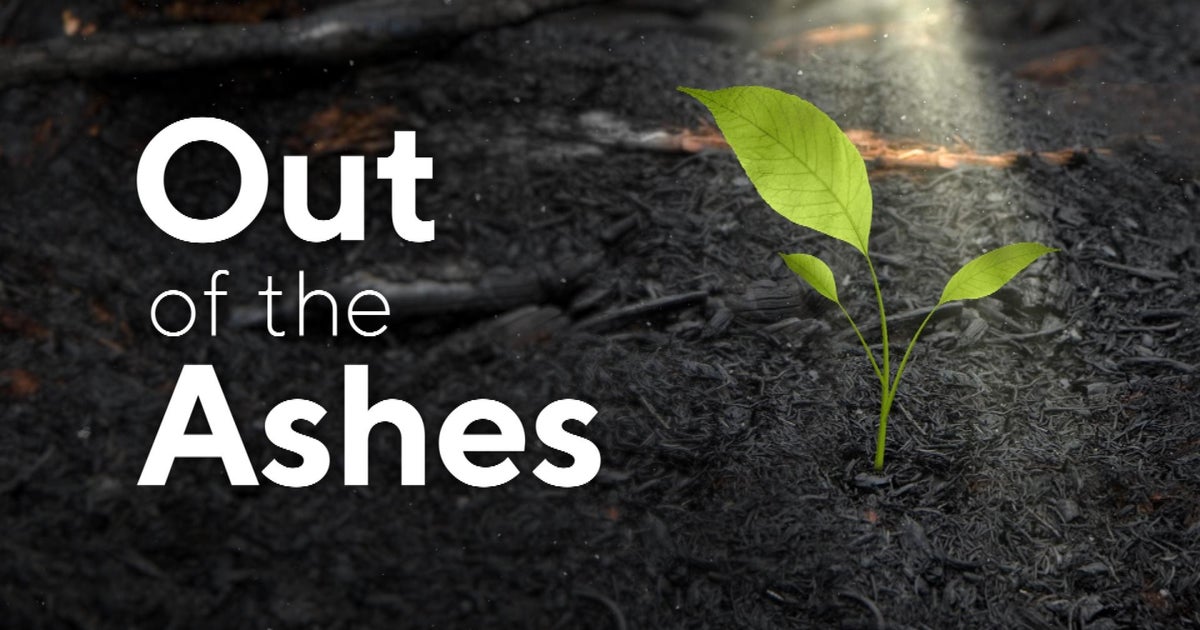 Watch the CBS Colorado special: "Out of the Ashes: One Year after the ...