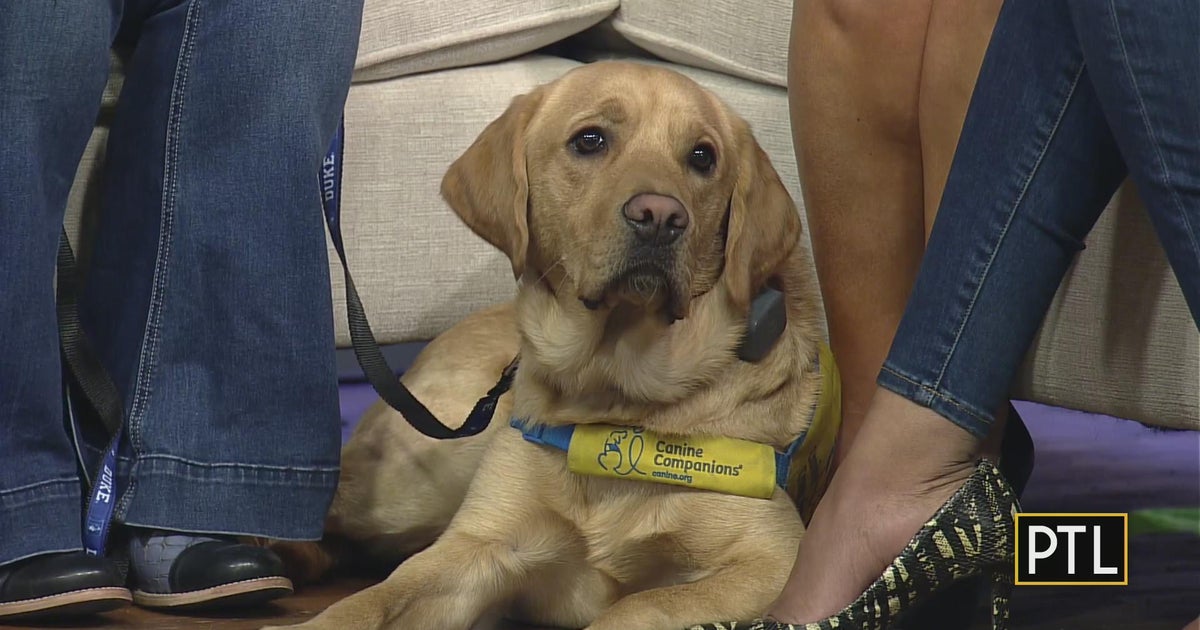 PTL Pupdate: The countdown for Donny's turn-in date begins - CBS Pittsburgh