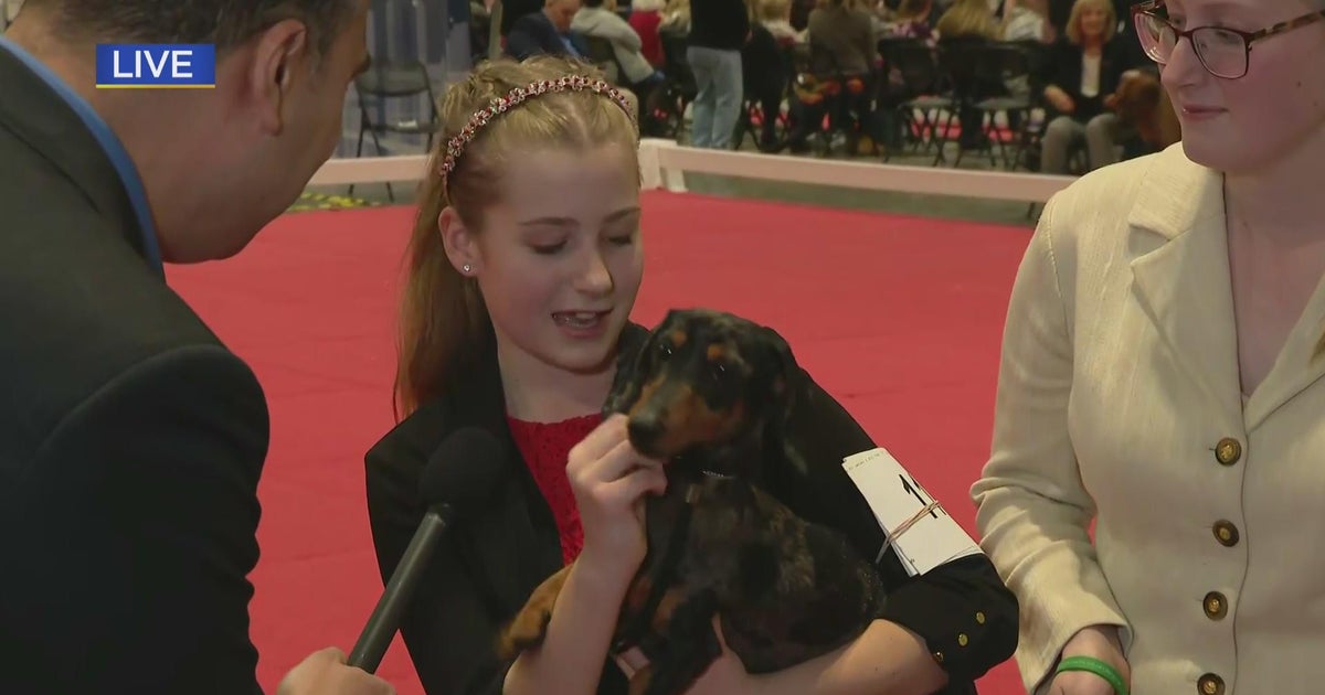 Meet some winners, and check out an art competition, at the Great ...