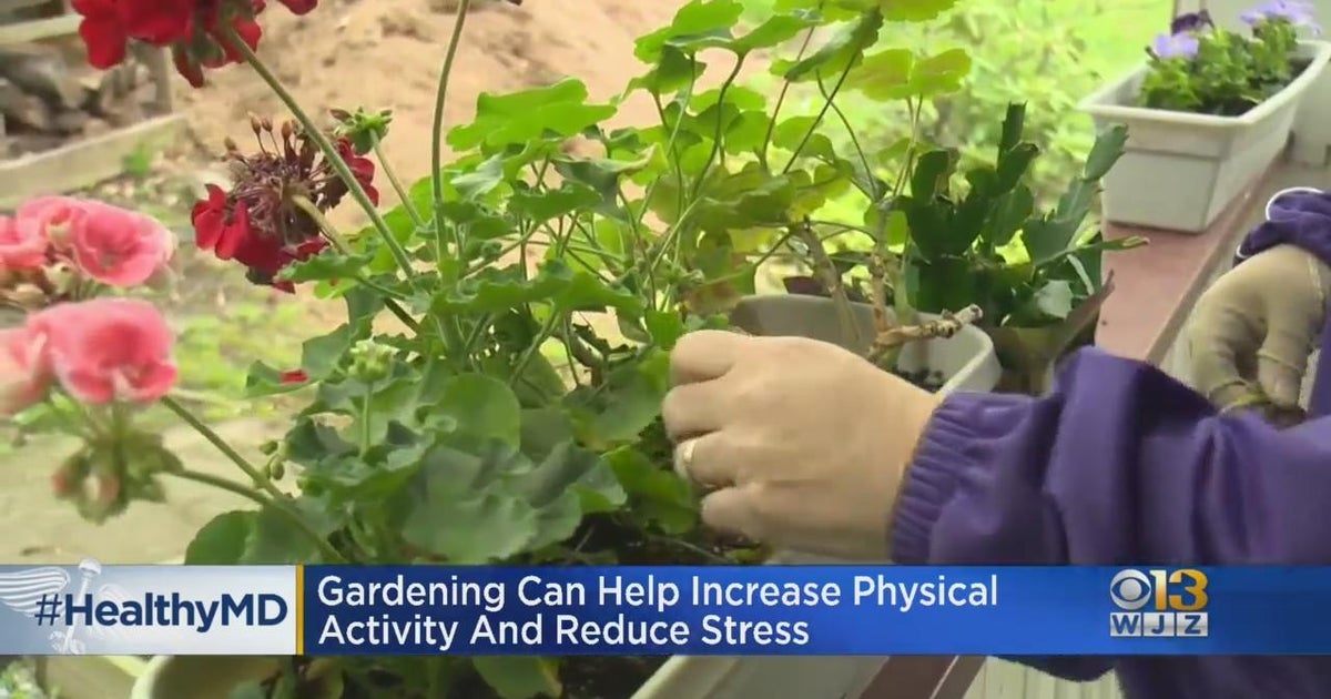 HealthyMD: Gardening can help increase physical activity and reduce ...