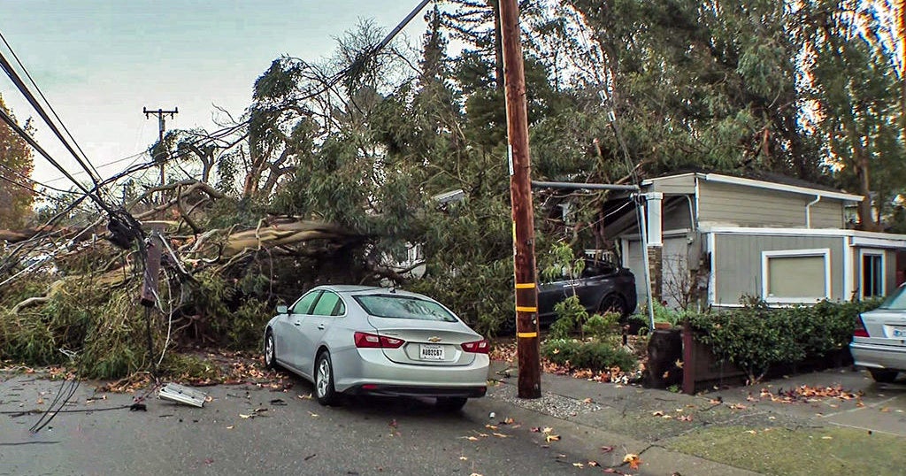 Castro Valley home struck by falling tree in Saturday's storm - CBS San ...