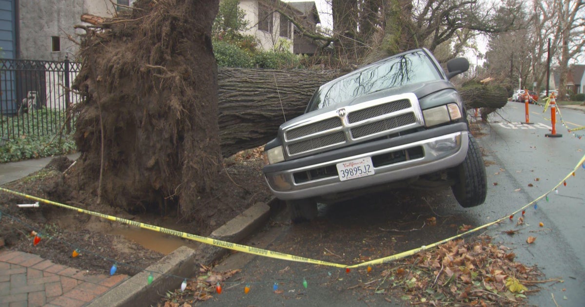 'City of Fallen Trees': Storm damage visible across Sacramento - CBS ...