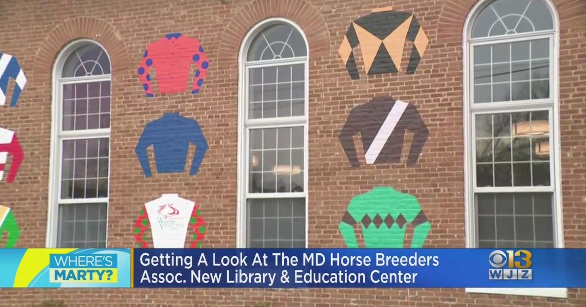 Where's Marty? Learning about Maryland horse history at new library in ...