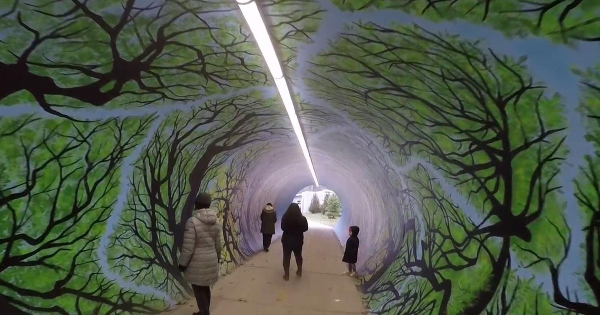 Glen Ellyn unveils 'The Grove' mural - CBS Chicago