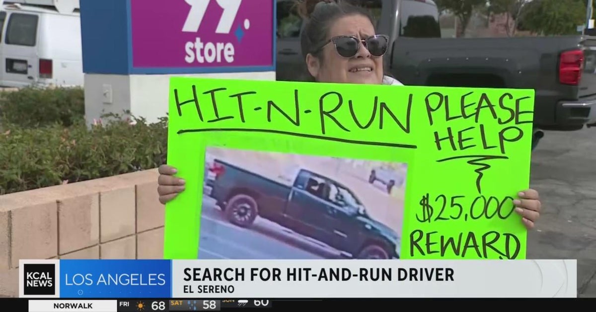 El Sereno mother searching for hit-and-run driver that injured autistic ...