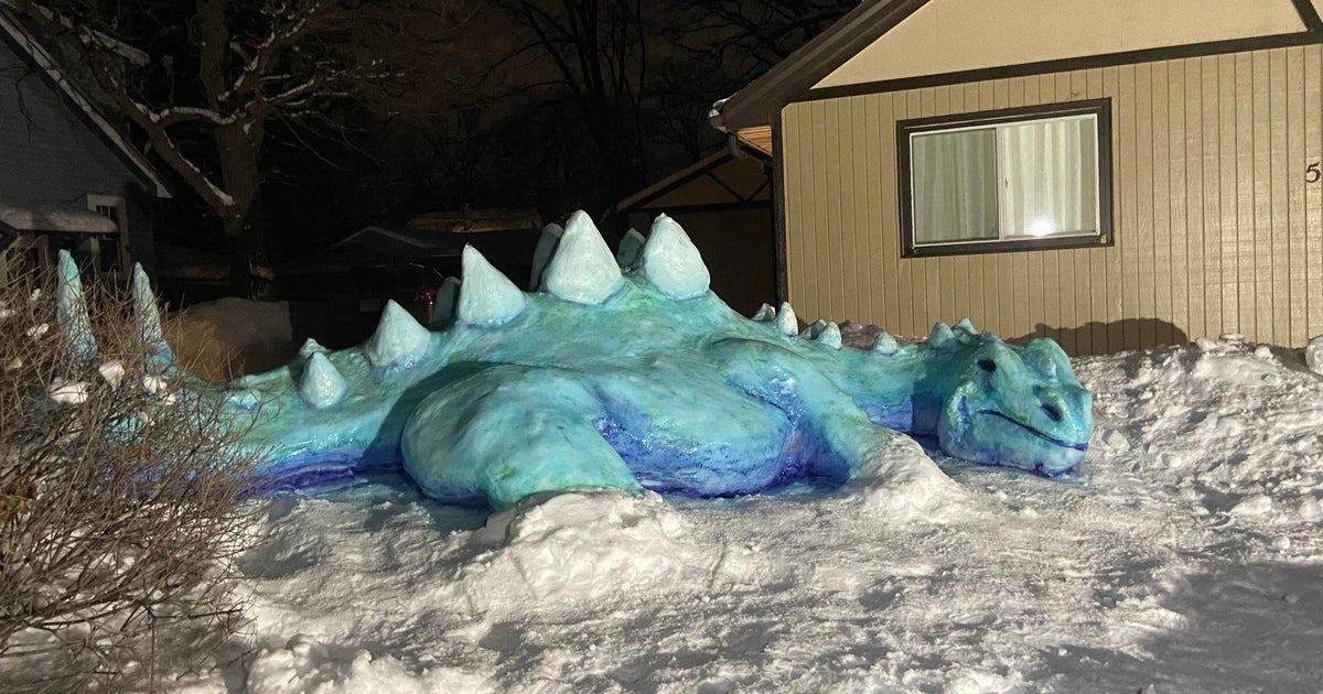 California couple embraces Minnesota winter, creates a 25-foot-long ...