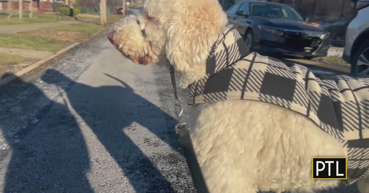 Checking in with Wilson - CBS Pittsburgh