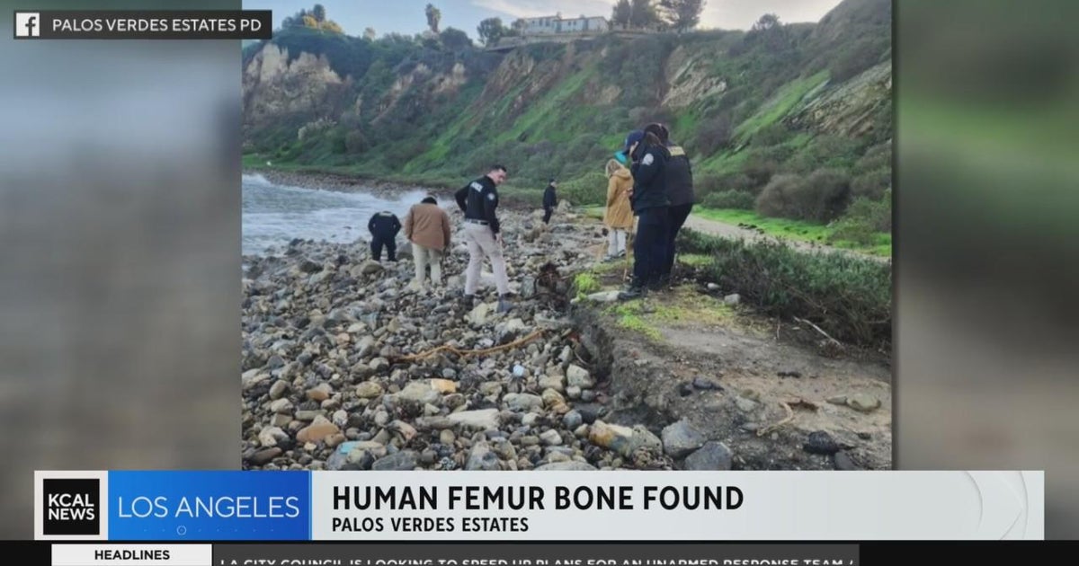 Human bone found on beach in Rancho Palos Verdes - CBS Los Angeles
