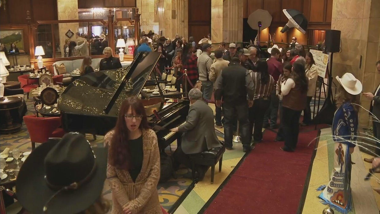 Stock Show Tradition: Grand Champion Steer joins Brown Palace high tea ...