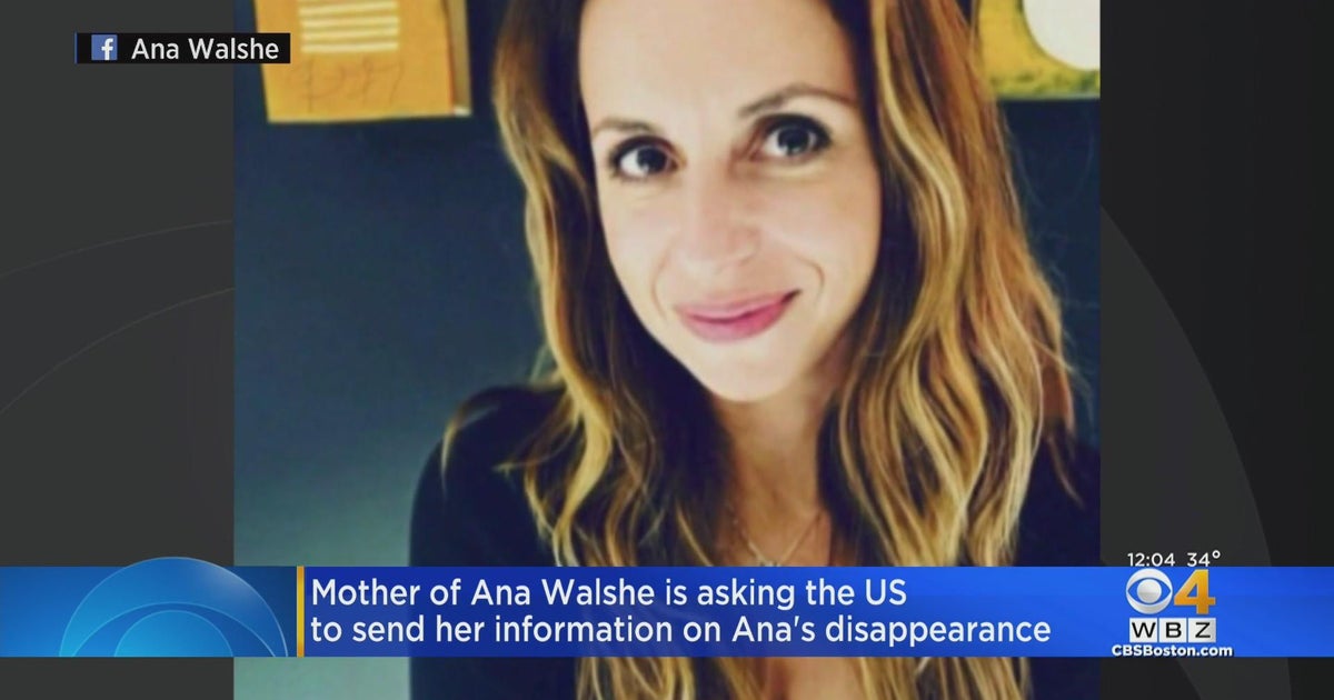 Ana Walshe's Serbian mother asking U.S. for official information about ...