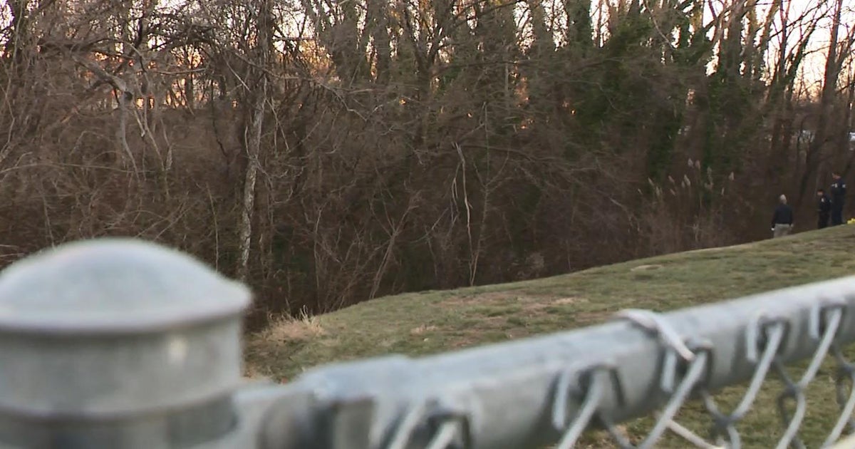 Carjacking suspect found dead from self-inflicted shooting in wooded ...