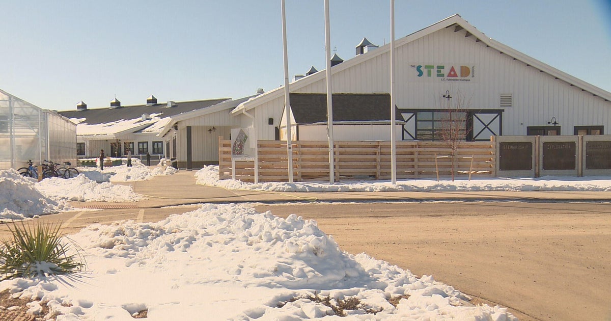 The STEAD School recognized by Gov. Jared Polis - CBS Colorado