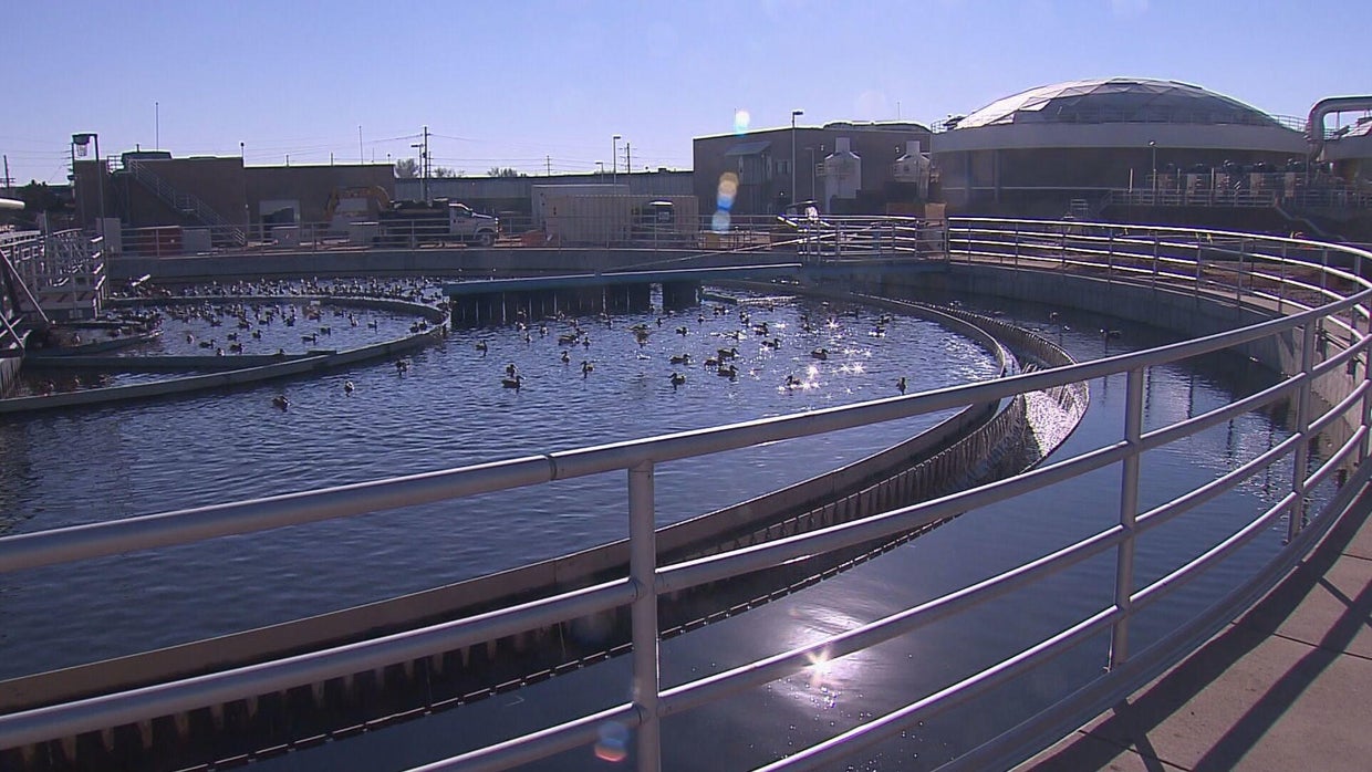 New rules will expand how water can be reused in Colorado - CBS Colorado