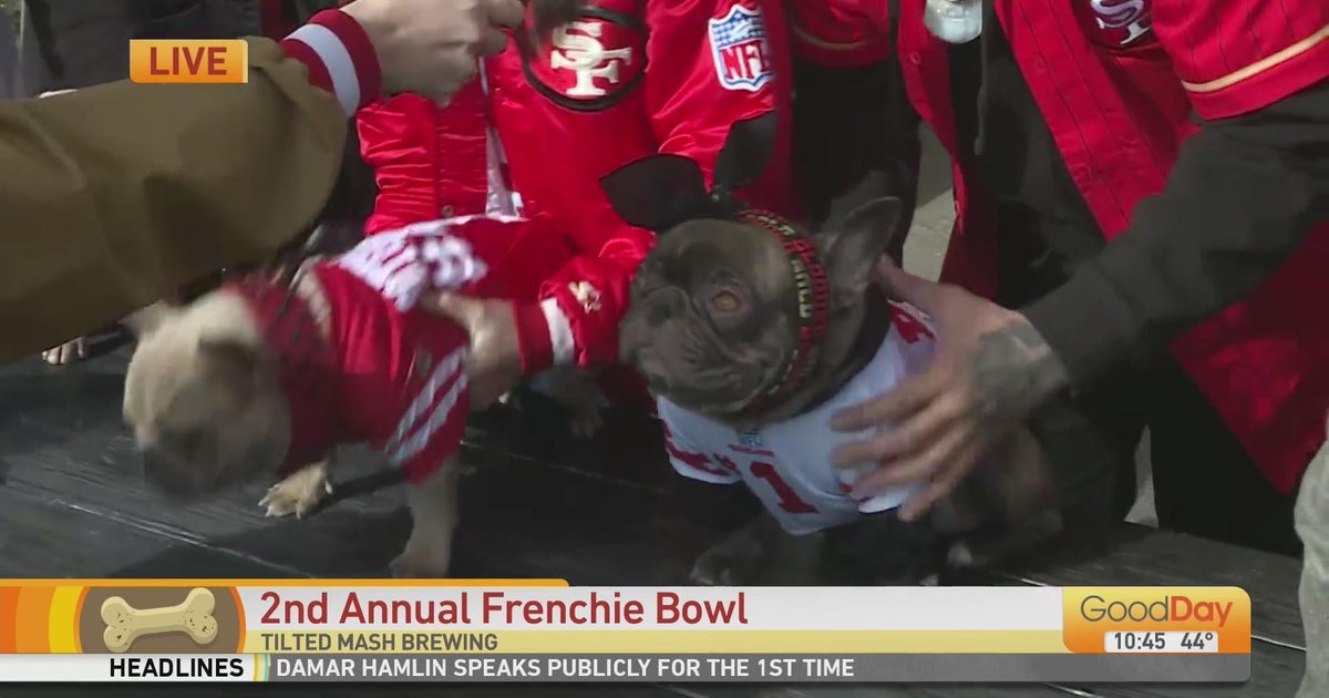 2nd Annual Frenchie Bowl - Good Day Sacramento