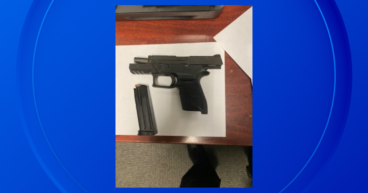 TSA stops gun at Detroit Metro Airport - CBS Detroit