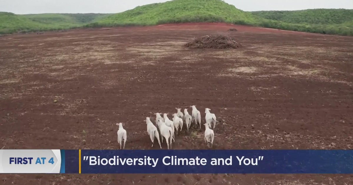 Boulder prepares to host "Biodiversity Climate and You" - CBS Colorado