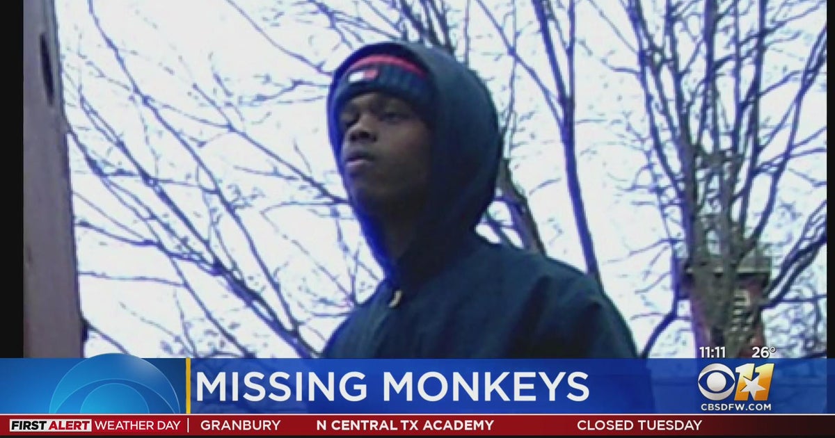 Police release photo of person of interest in Dallas Zoo missing ...