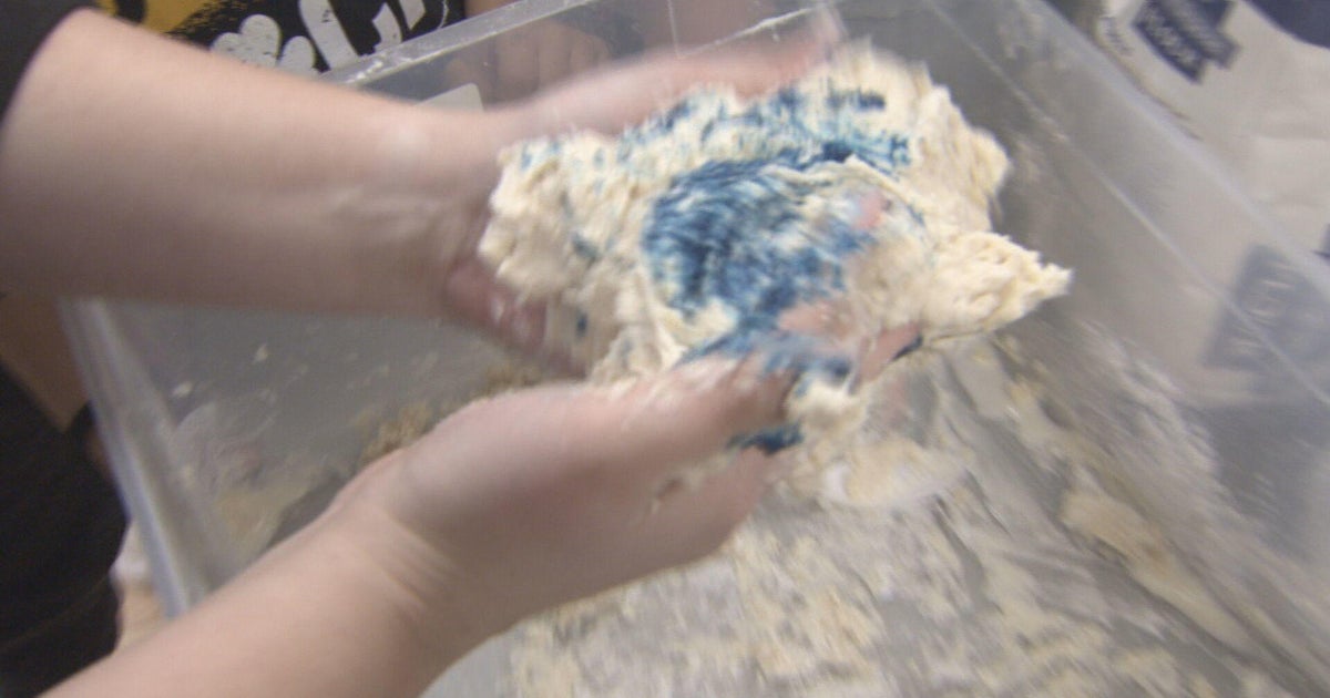 Woburn YMCA is offering programs for kids during teacher strike - CBS ...