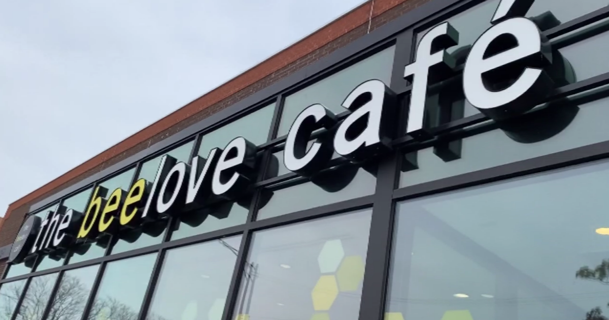 beelove café serving up coffee with a side of community collaboration ...
