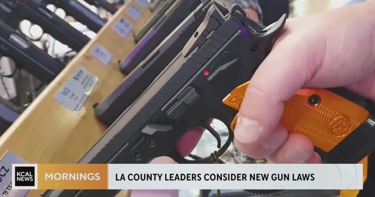 Los Angeles County Board of Supervisors approves proposed gun ...