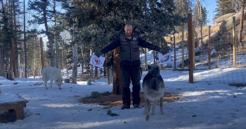 According to the wolves at Colorado Wolf and Wildlife Center, the ...
