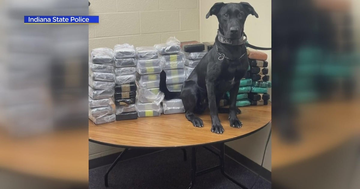 California man arrested in drug bust in Indiana - CBS Chicago