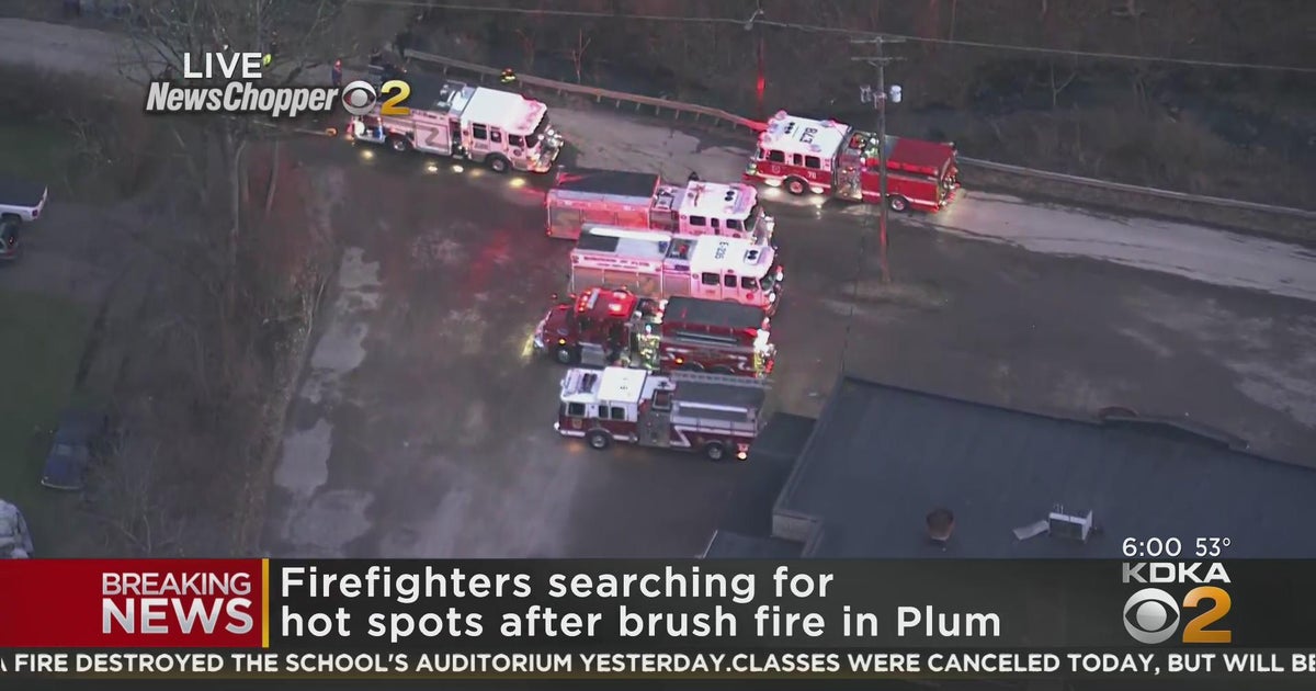 Brush fire under control in Plum - CBS Pittsburgh