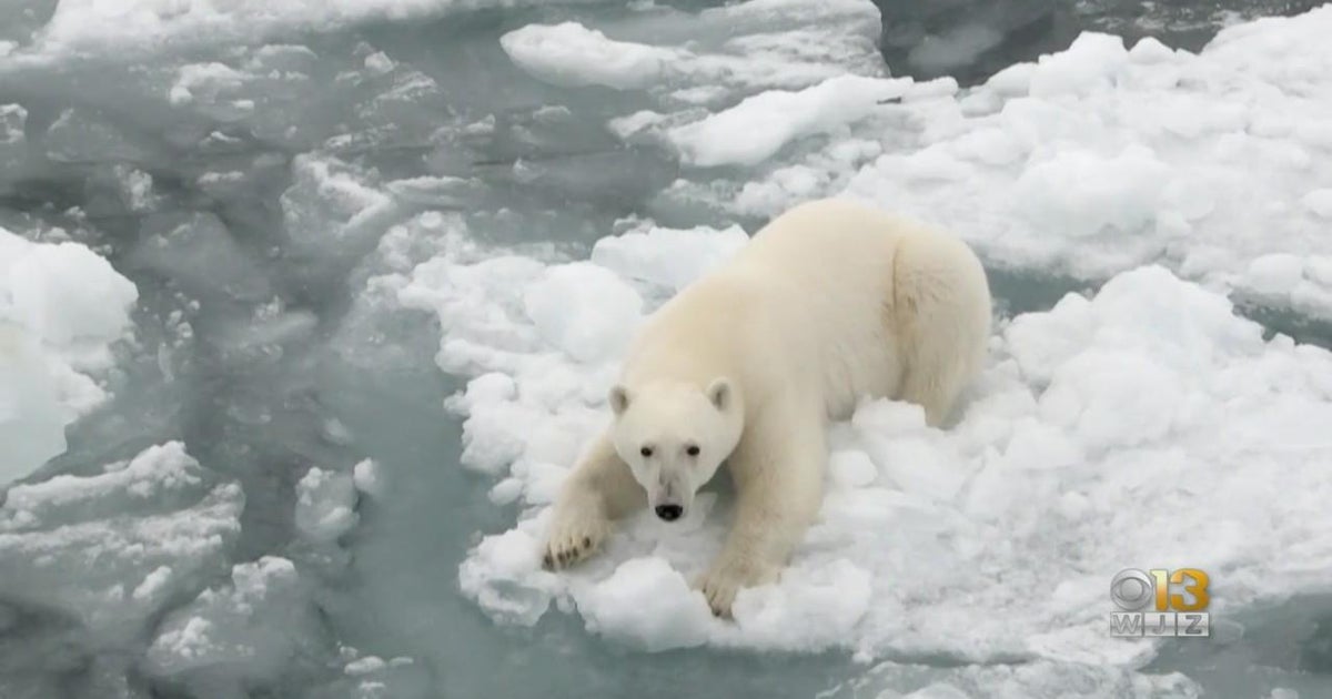 Artificial intelligence being used to answer questions about sea level ...