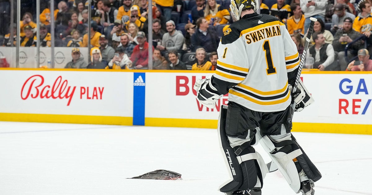 Bruins easily handle Predators -- and a flying catfish -- in Nashville ...