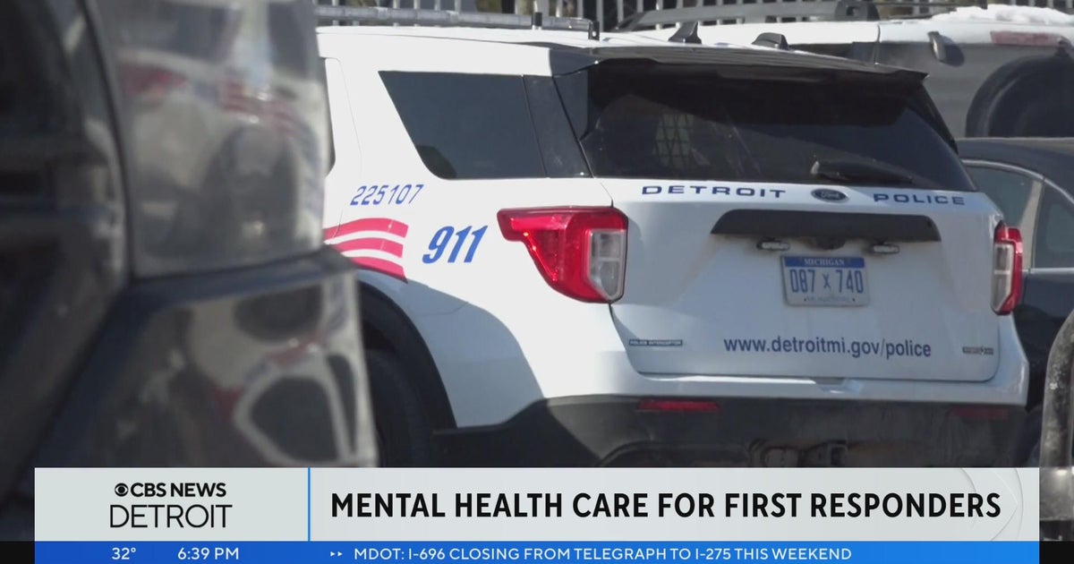 Deaths of DPD officers in suspected murder-suicide highlight issue of ...