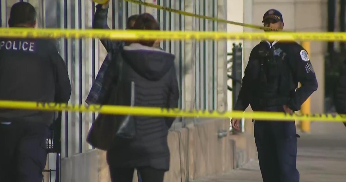 72-year-old Marsha Frankel hit, killed by FedEx truck in South Loop ...