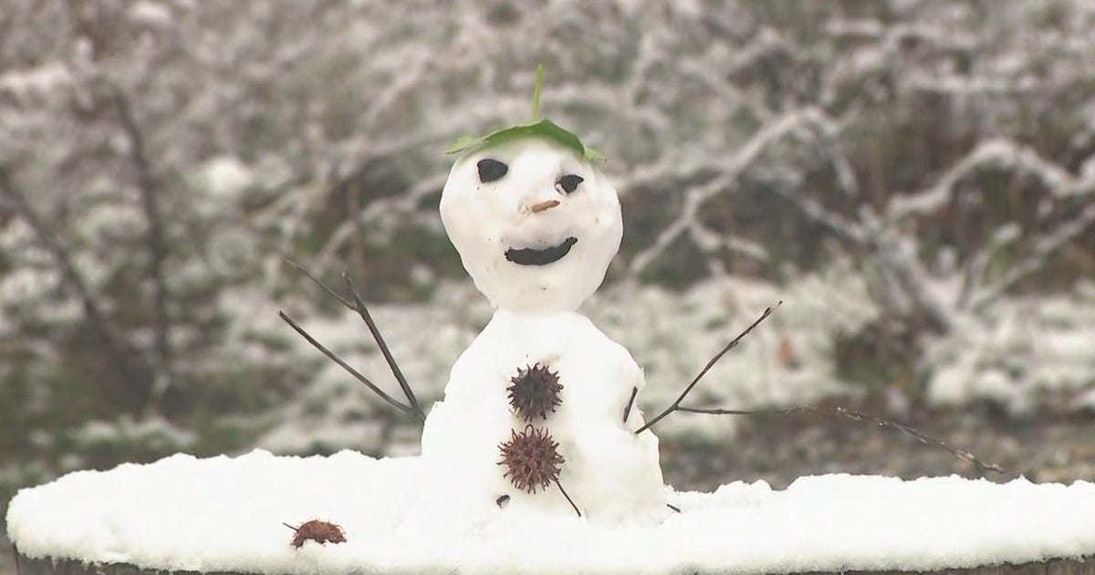 Rare snowfall creates wondrous wintry scenes across Bay Area - CBS San ...