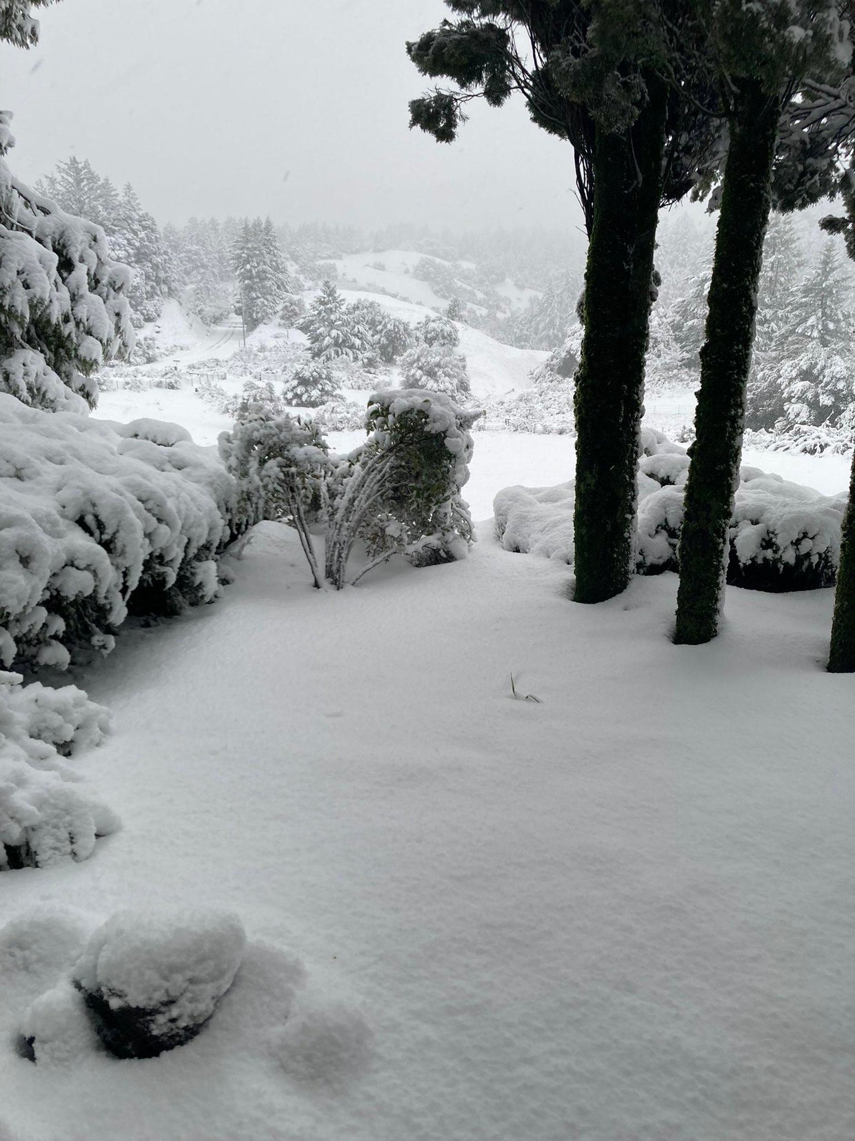 Photos: Rare winter storm delivers snow across the Bay Area