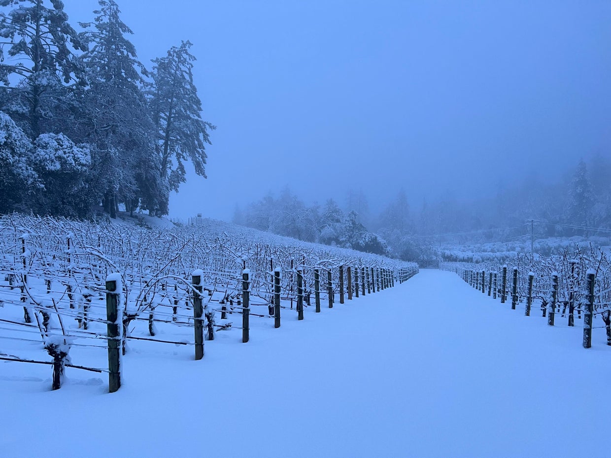 Photos: Rare winter storm delivers snow across the Bay Area