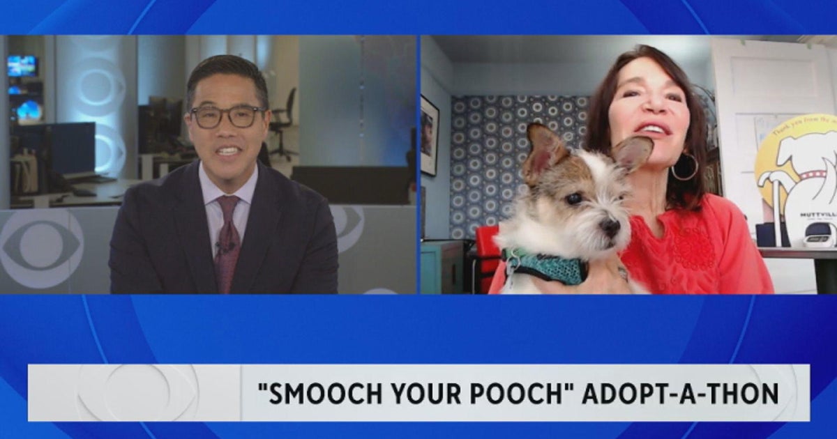 Muttville's 'Smooch Your Pooch Adopt-A-Thon' - CBS San Francisco