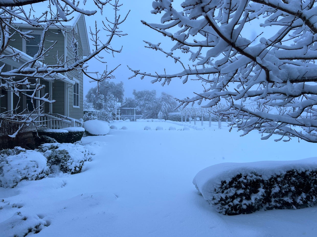 Photos: Rare winter storm delivers snow across the Bay Area