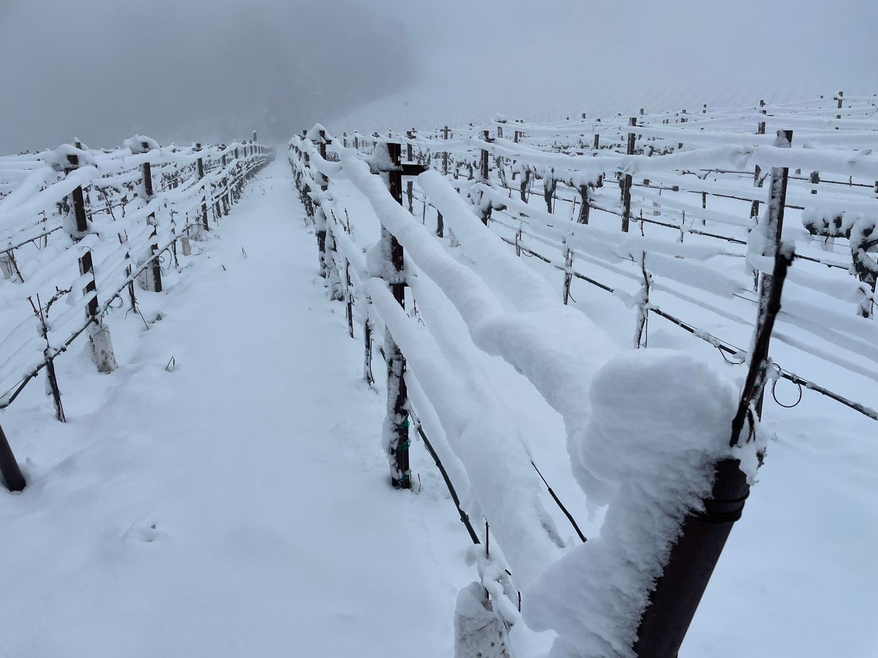 Photos: Rare winter storm delivers snow across the Bay Area