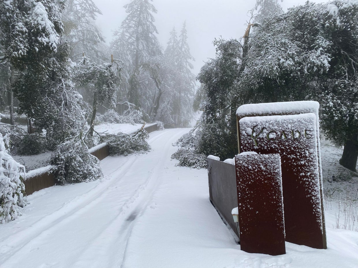 Photos: Rare winter storm delivers snow across the Bay Area
