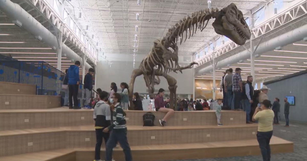 New high-tech public library holds grand opening in Frisco - CBS Texas